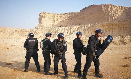 Ad-hoc Network Solution for Military Emergency Operations - IFLY